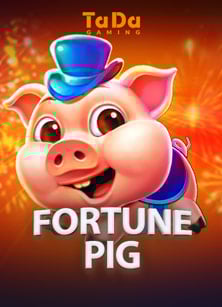 9d.bet.br | A casa de mais de 30 milhões de jogadores